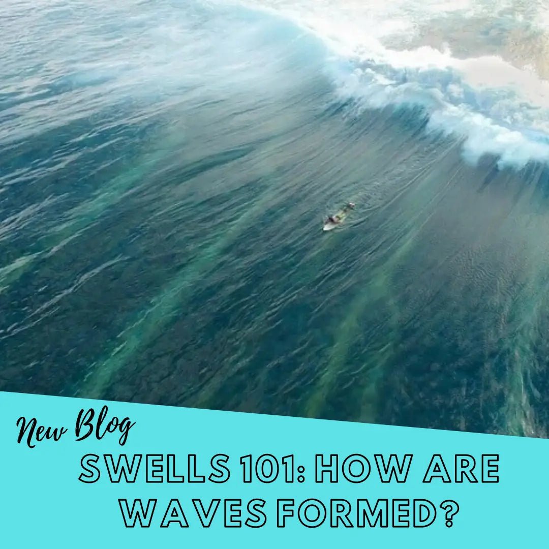 Swells 101: How Are Waves Formed?